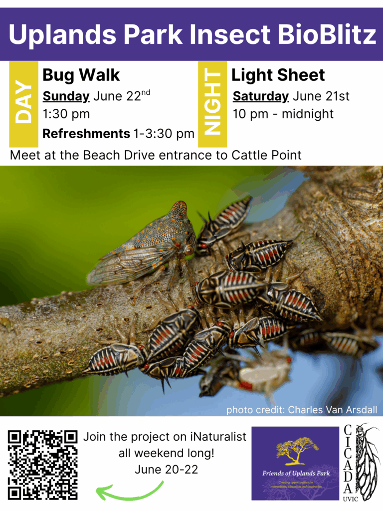 Uplands Park Insect BioBlitz - Entomological Society of British Columbia